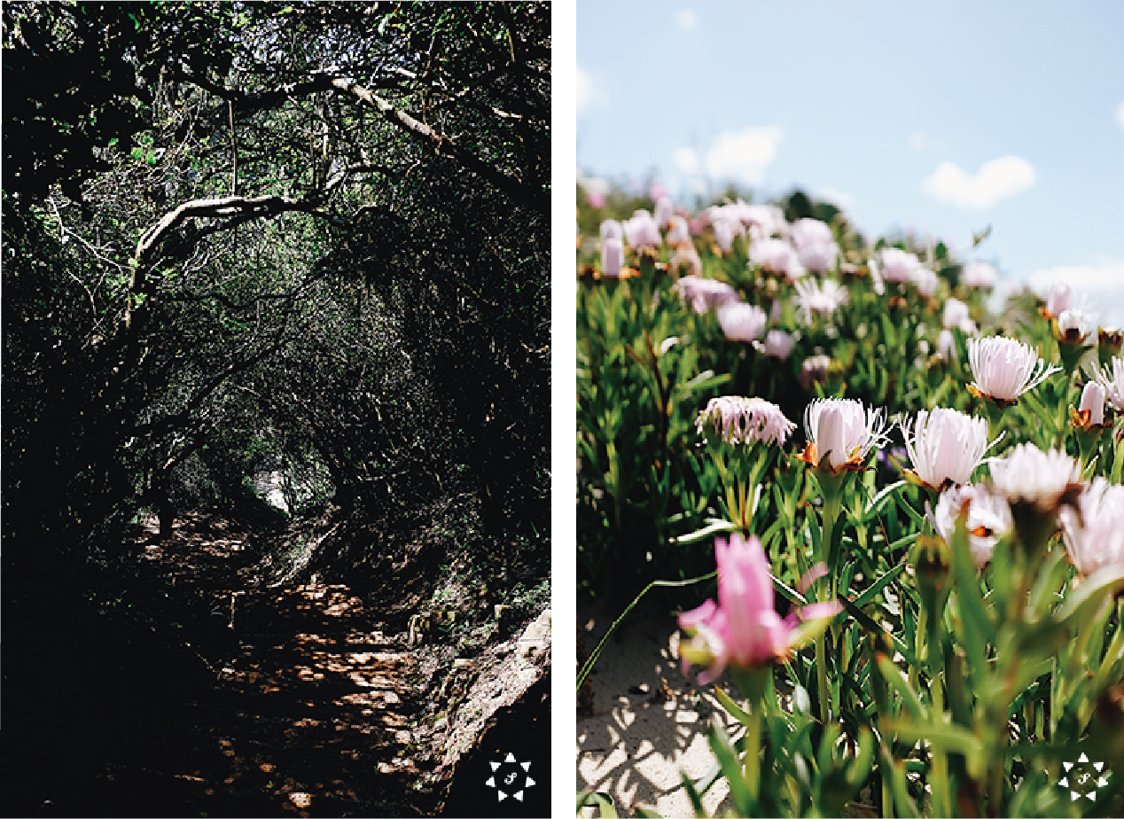 〖大笑到巴西〗巴西南大河州路過的美景Torres - Your Sunshine 日光誌